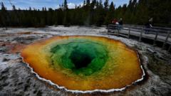 Man severely burned after falling in Yellowstone hot spring - BBC News