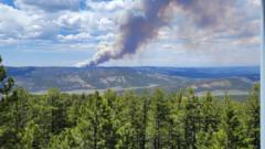 Fire lookouts: The US Forest Service lookouts watching for fires - BBC News