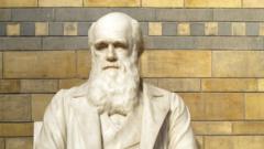 The Vocabularist: When is a theory 'just a theory'? - BBC News