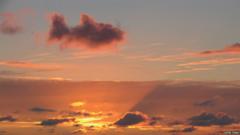 Pareidolia: Can you see faces in these photos of the natural world ...