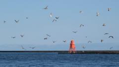 England's Big Picture: 12 - 18 October - BBC News