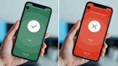 Covid passports: How to get one, how to use one and can it be faked ...