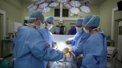 ¿Qué es y dónde está el mesenterio, el "nuevo órgano" del cuerpo humano ...