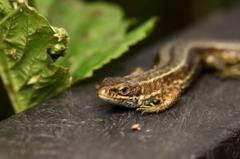 Your pictures of Scotland: 9-16 September - BBC News