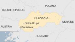 Slovakia alarmed by pro-Putin Night Wolves bikers' base - BBC News