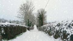 Your pictures of snowy scenes in Northern Ireland - BBC News