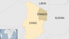 Chad: 'More than 250 rebels' captured in convoy raid - BBC News