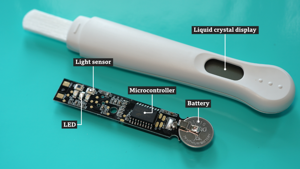 The surprising secret hidden in a pregnancy test - BBC News