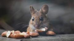 Your pictures of Scotland 12 - 19 June - BBC News