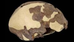 Skull points to a more complex human evolution in Africa - BBC News