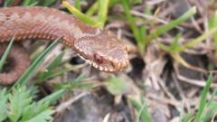 Your pictures of Scotland: 21 - 28 September - BBC News