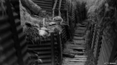 Fallen soldiers: Is it right to take images of bodies? - BBC News