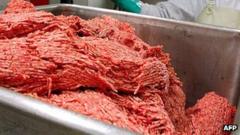 Horsemeat scandal: Germany pulls lasagne off shelves - BBC News