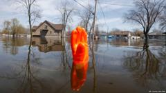 Day in pictures: 23 April 2013 - BBC News