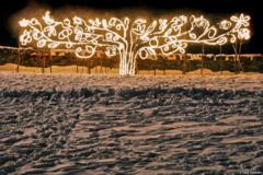 In pictures: A journey through the English ritual year - BBC News