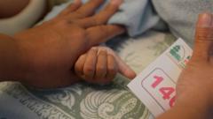 Anatomy of female genital mutilation - BBC News