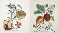 In pictures: Salvador Dali fruit watercolours - BBC News