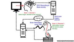 Are we close to making human ‘mind control’ a reality? - BBC News