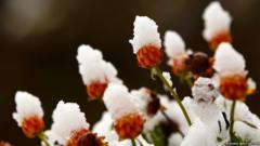 Day in pictures: 11 October 2013 - BBC News