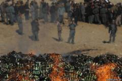 Day in pictures: 12 November 2013 - BBC News