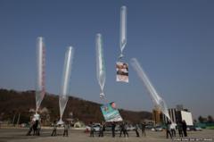 Day in pictures: 15 January 2014 - BBC News