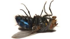 Exposing the hidden history of computer hacking - BBC News