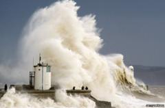 Who, What, Why: How do you measure a wave? - BBC News