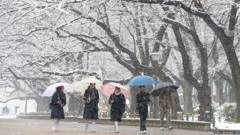 Day in pictures: 14 February 2014 - BBC News