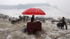 Day in pictures: 19 February 2014 - BBC News