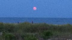 Supermoon: Your pictures of the perigee Moon - BBC News
