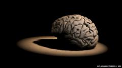 EC 'confident' in human brain project - BBC News