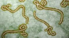 Ebola: How does it compare? - BBC News