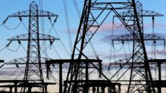 Pylons to be removed in four protected areas - BBC News