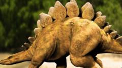 Scientists seek to solve mystery of Stegosaurus plates - BBC News