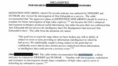 CIA report: Who are the unlikely interrogators? - BBC News