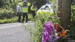 Donegal car crash: Shaun Kelly jailed for road deaths - BBC News