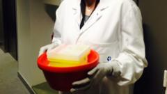 Ebola outbreak: Virus mutating, scientists warn - BBC News