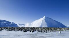 Planet Earth team head to Netflix for Our Planet series - BBC News