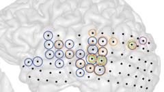 Peeking into the brain's filing system - BBC News