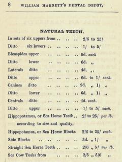 The dentures made from the teeth of dead soldiers at Waterloo - BBC News