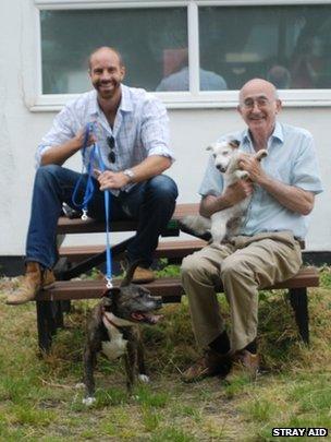Blind Jack Russell and canine 'guide' adopted after appeal - BBC News