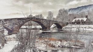 Your Pictures: 28 February - 6 March - BBC News