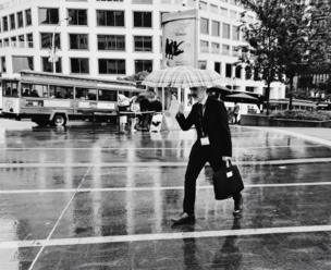 Your pictures: On the bright side - BBC News