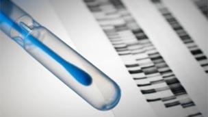 Four hours for forensic DNA test - BBC News