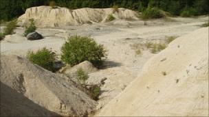 Conisbrough's Nearcliff Quarry to reopen after 20 years - BBC News