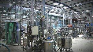 Yoghurt and the functional food revolution - BBC News