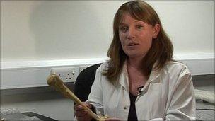 The secret lives of our ancestors revealed - BBC News