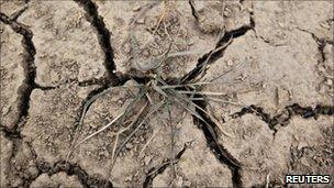 China drought worsens in parched north - BBC News