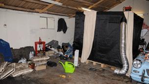 John Gizzi capture 'shows no gangster untouchable' - BBC News