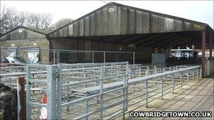 Cowbridge protest over plans to close cattle market - BBC News